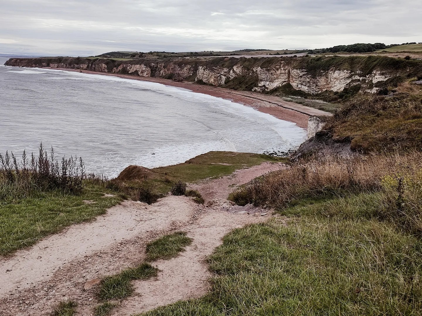 Explore Noses Point and Blast Beach: A Dog-Friendly Coastal History ...